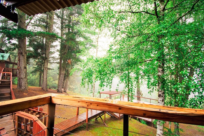 The Cabins | Self-Catering Chalets (Hogsback)